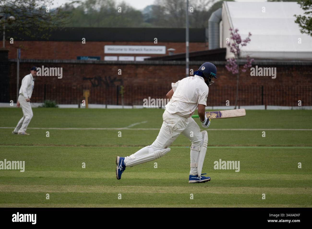 Cricket male player hi-res stock photography and images - Alamy