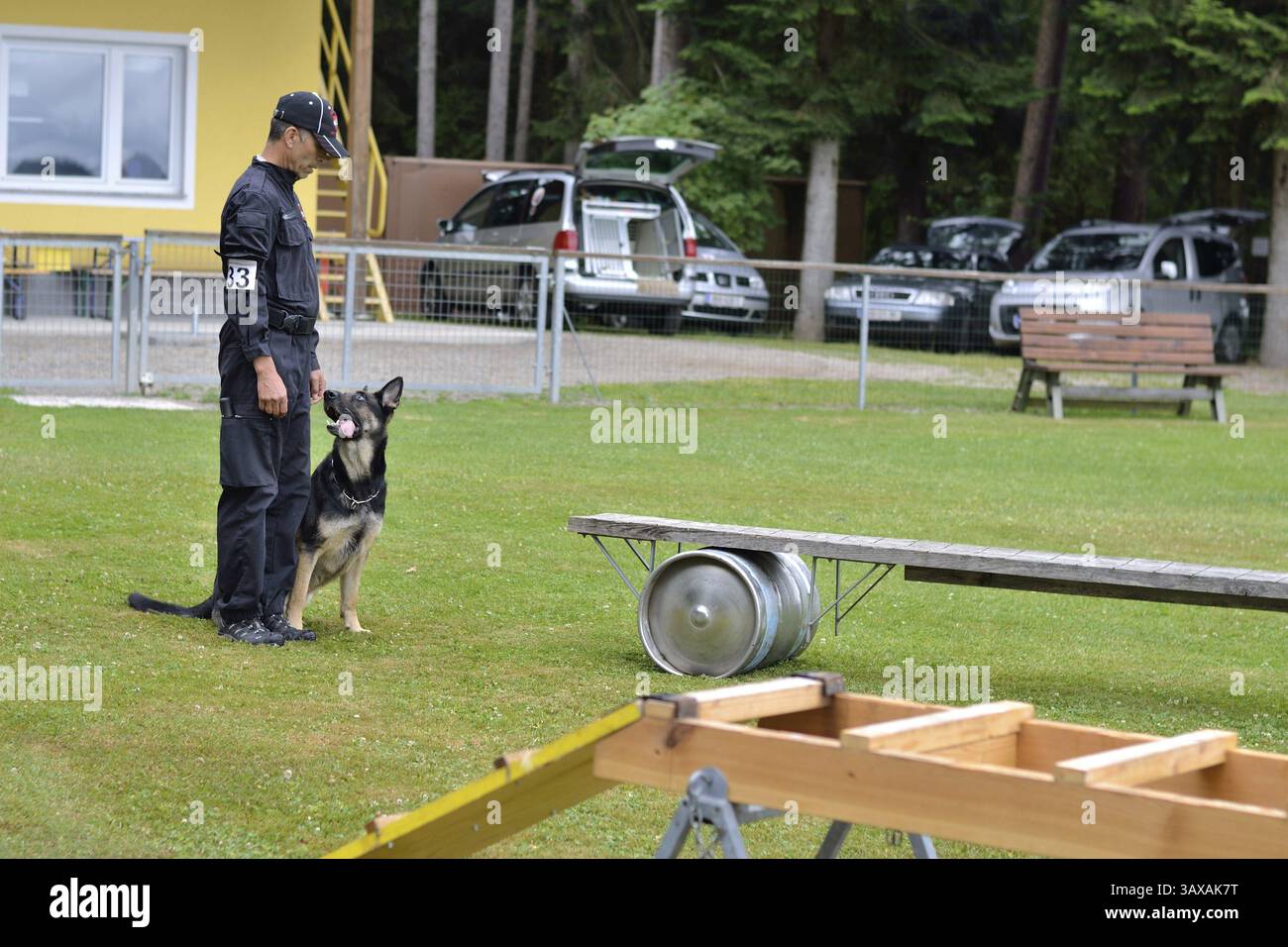 Dog trainer commands German shepherd over moving bridge Stock Photo - Alamy