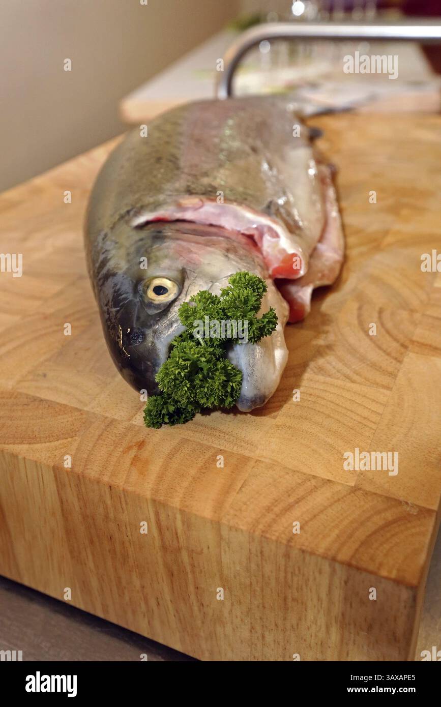 Fresh salmon trout hi-res stock photography and images - Alamy