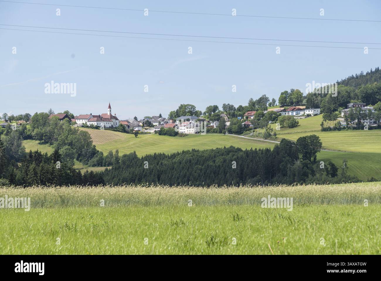 Austria community gardens hi-res stock photography and images - Alamy