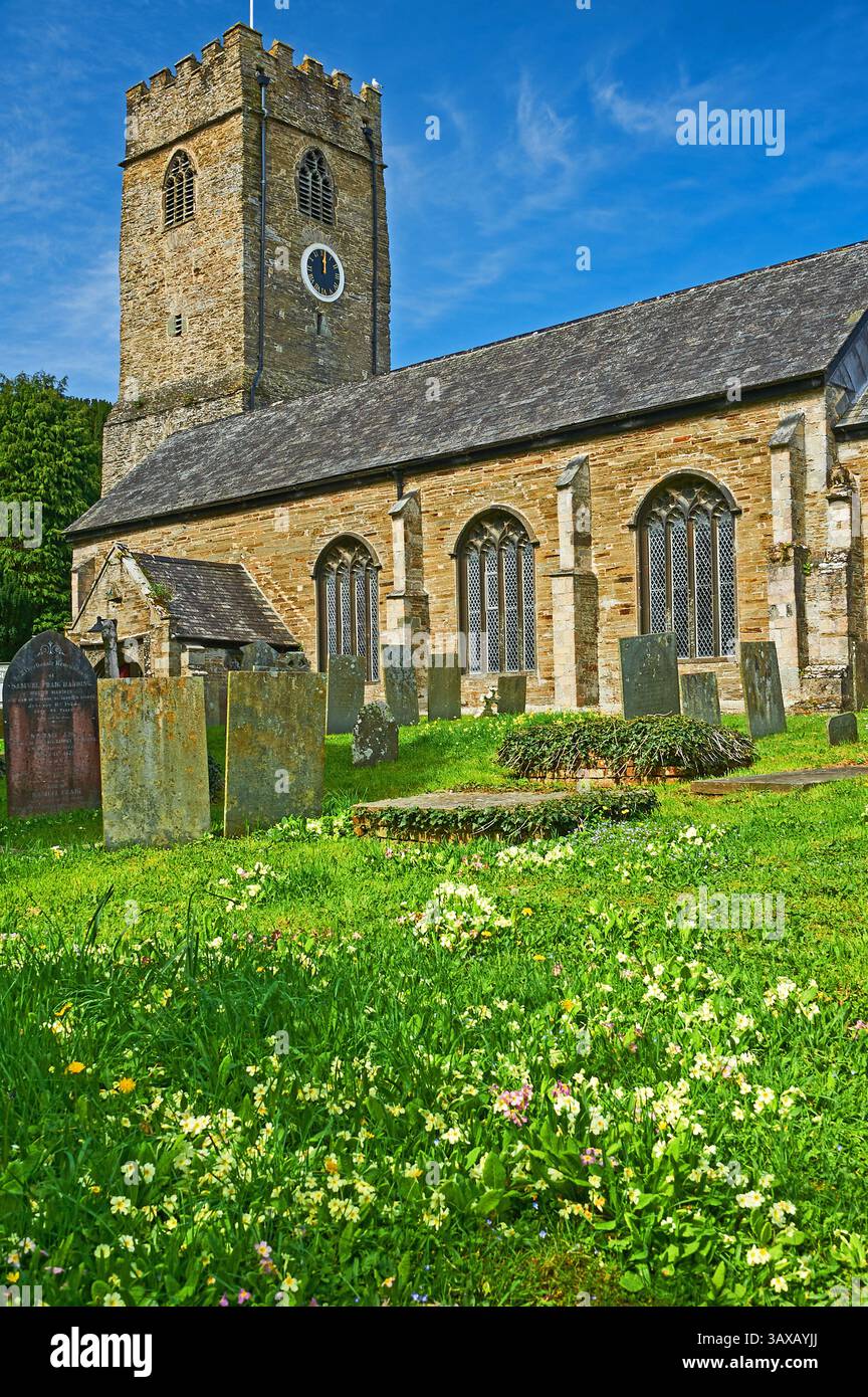St Petroc's church, Padstow, Cornwall on a spring morning Stock Photo ...