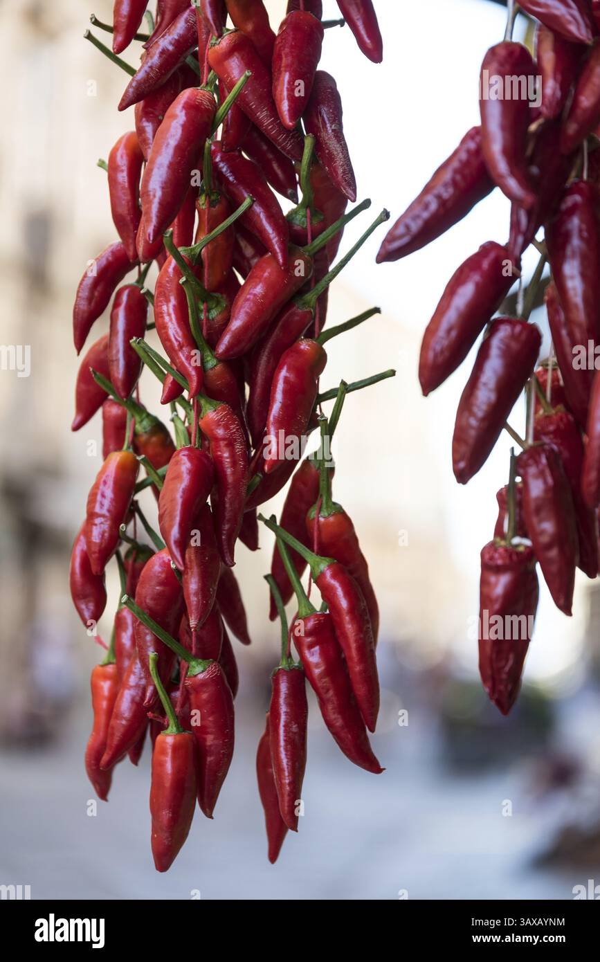 Bright red hot chilli - spicy hot flavour Stock Photo - Alamy