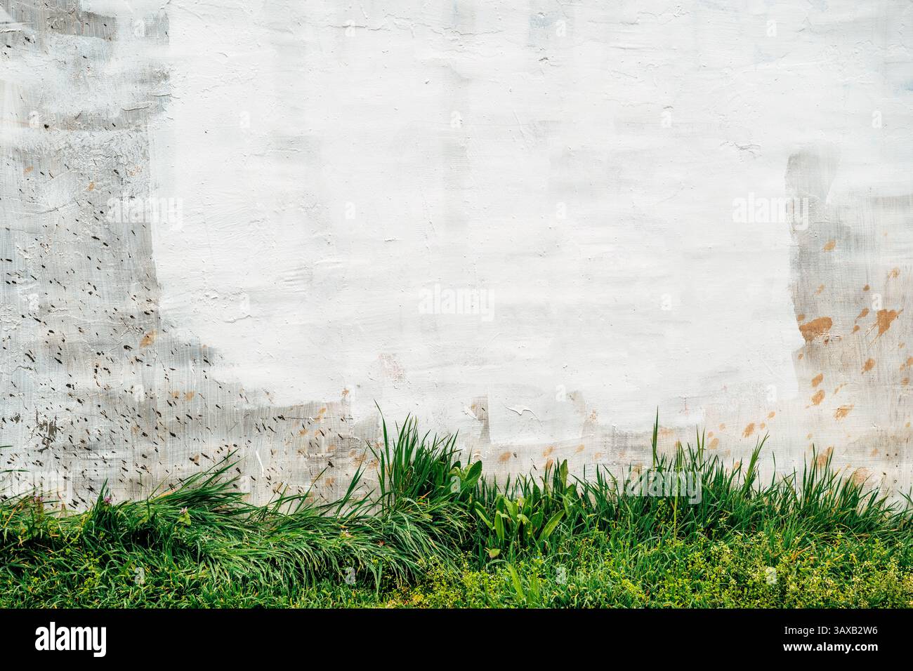 Old house wall with green grass as background Stock Photo - Alamy