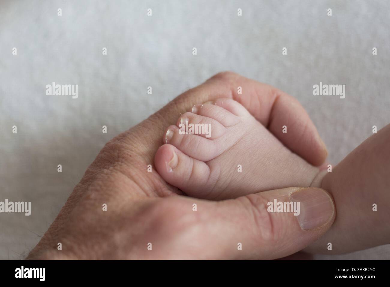 Hand of an adult holding a baby's foot - close-up Stock Photo - Alamy