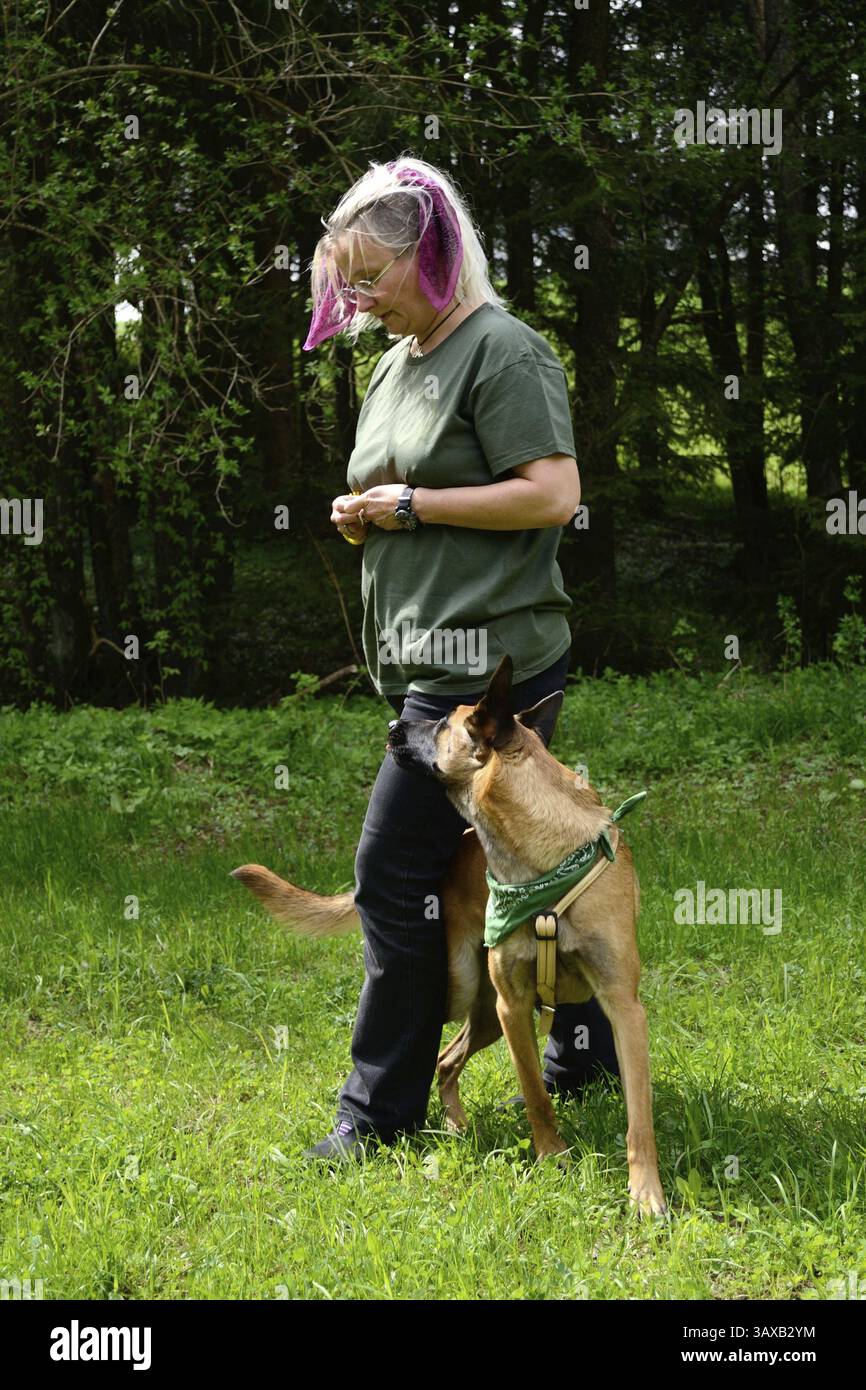 Dog trainer demonstrates exercises with a therapy dog Stock Photo - Alamy
