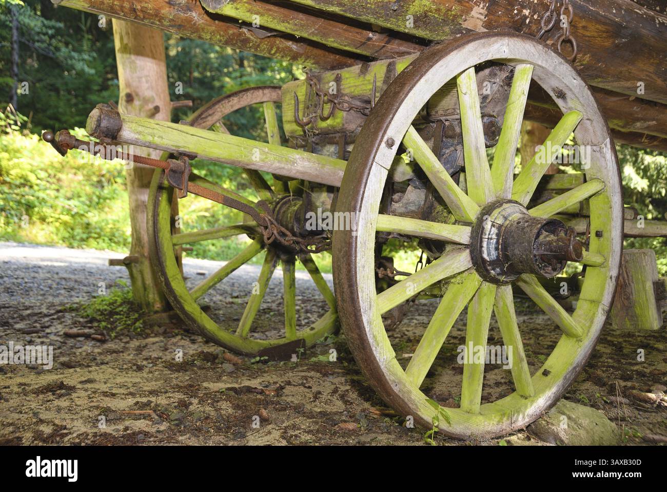 Historic timber wagon as a means of transport and carriage for timber ...