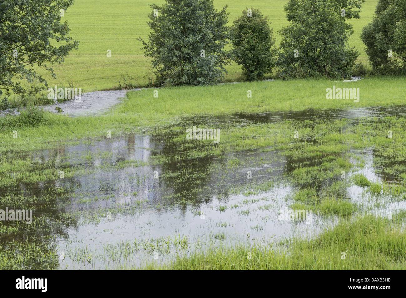 Flooding after storm due to torrential stream - Flooding Stock Photo ...