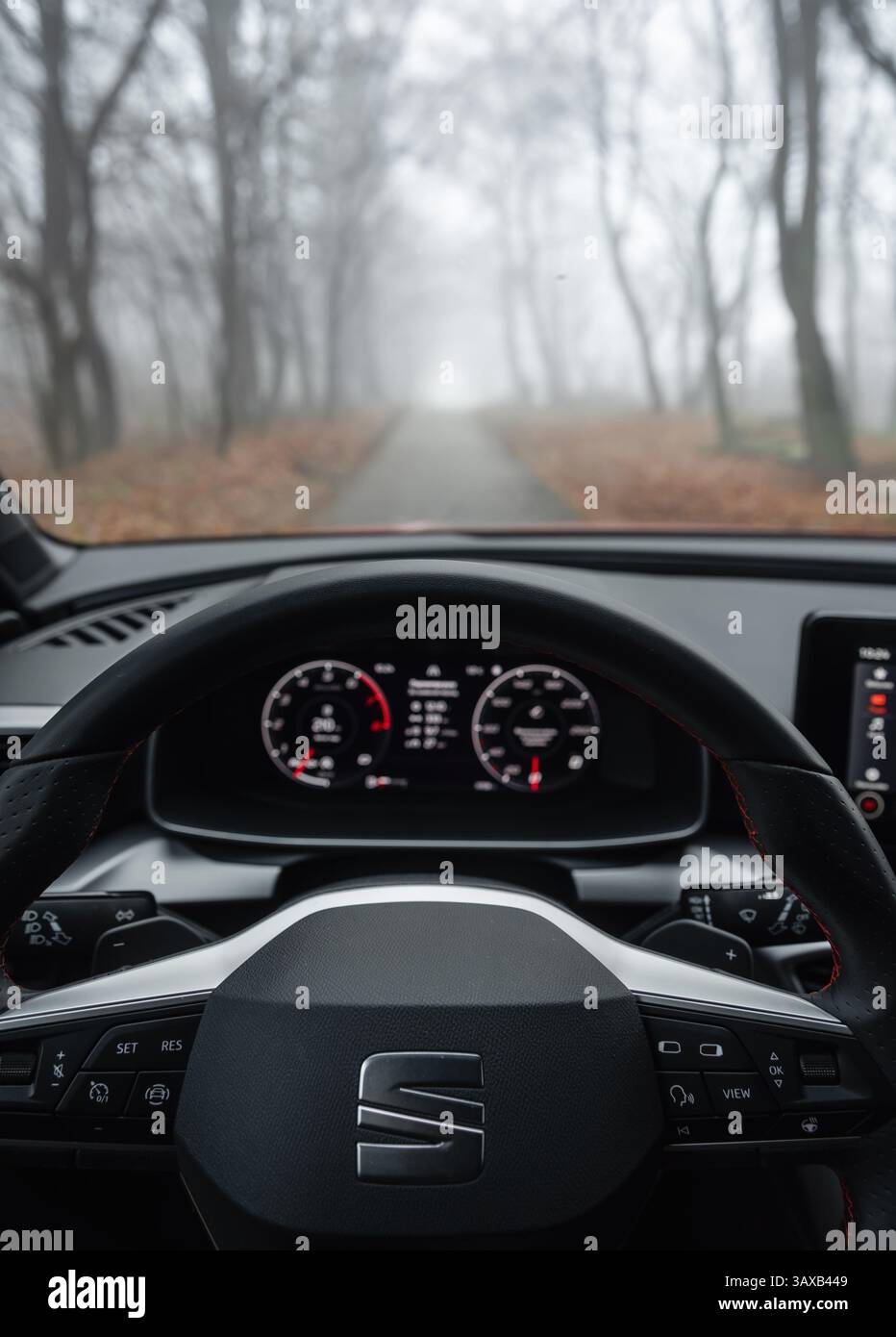 Behind the wheel of SEAT Leon, driving through foggy autumn forest. Car ...