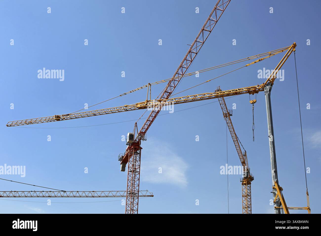 Real crane hi-res stock photography and images - Alamy