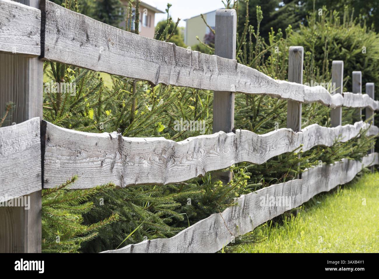 Garden fence made from old boards as a privacy screen and boundary ...
