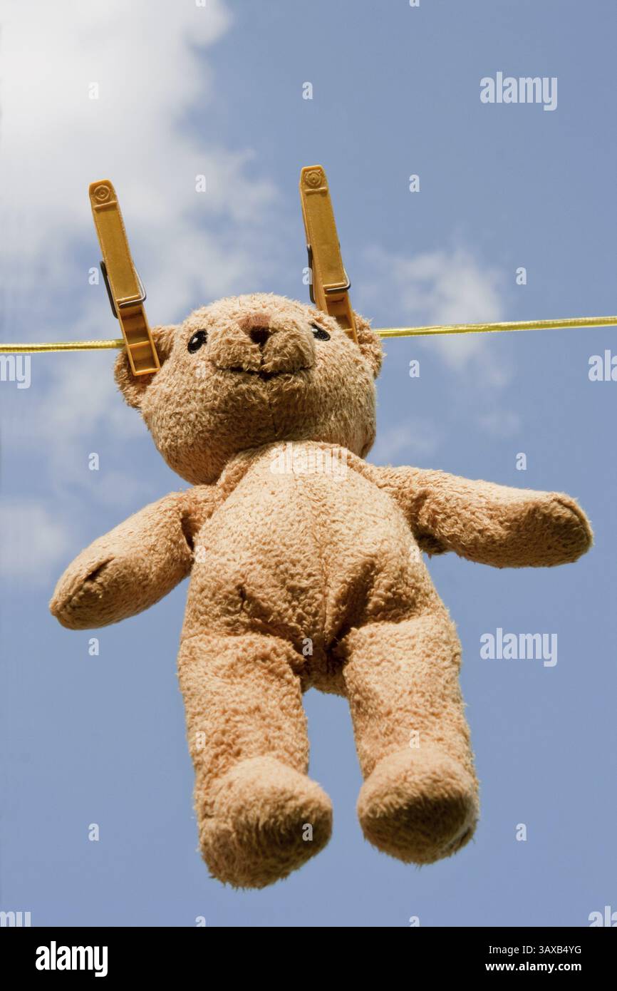 Wet teddy on an outdoor washing line Stock Photo - Alamy