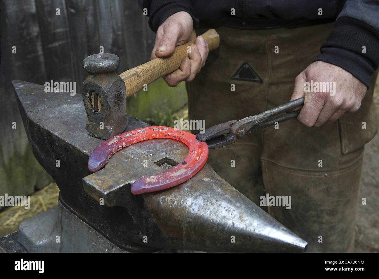 Farrier tool hi-res stock photography and images - Alamy