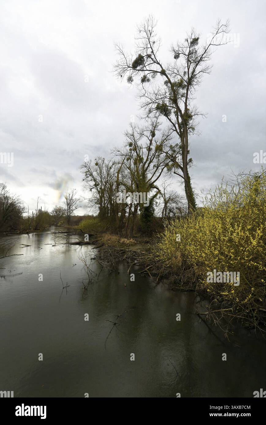 Old rhine in the southern palatinate hi-res stock photography and ...