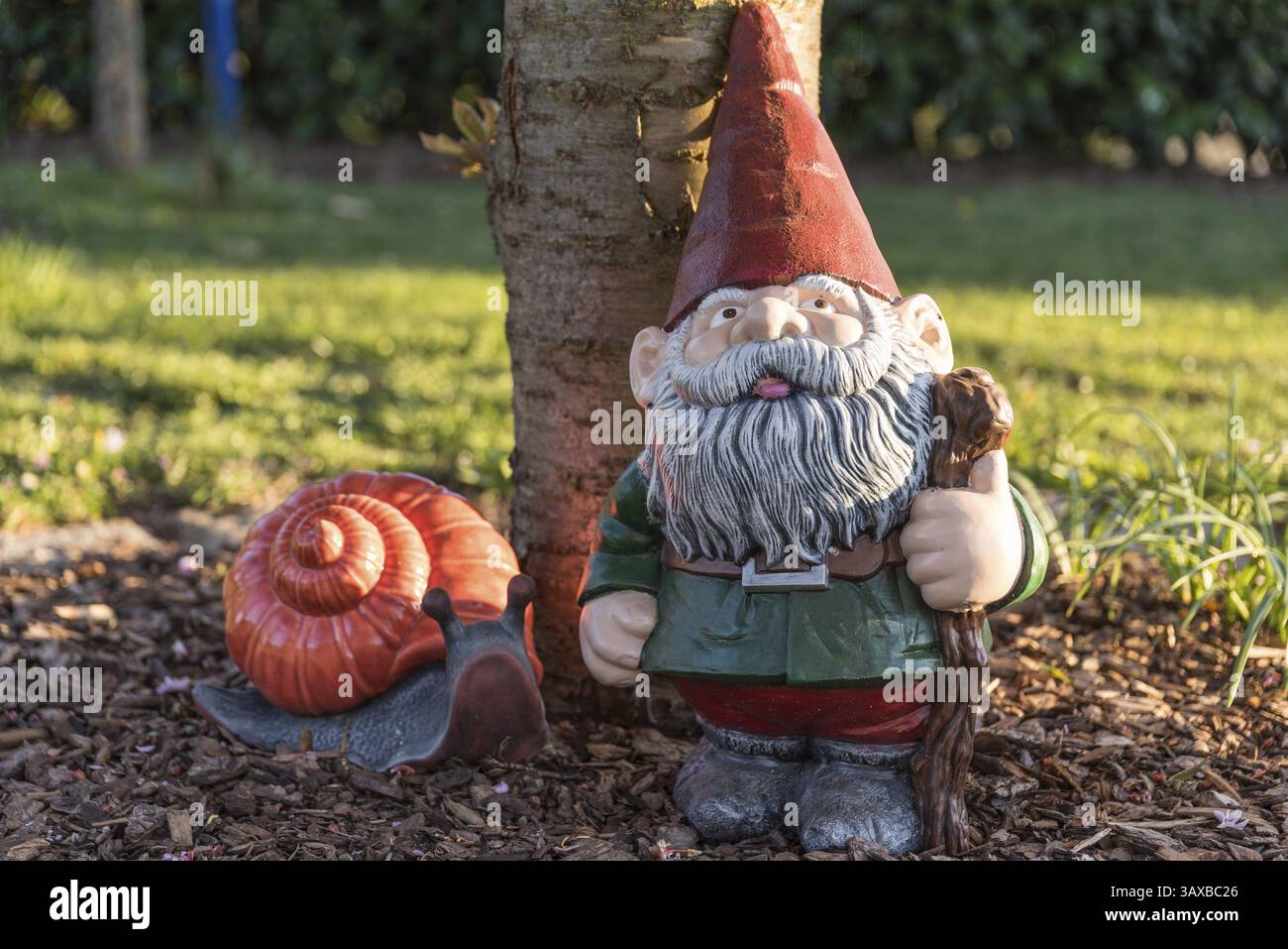 Painted dwarf and shell snail in the garden as decoration, garden ...