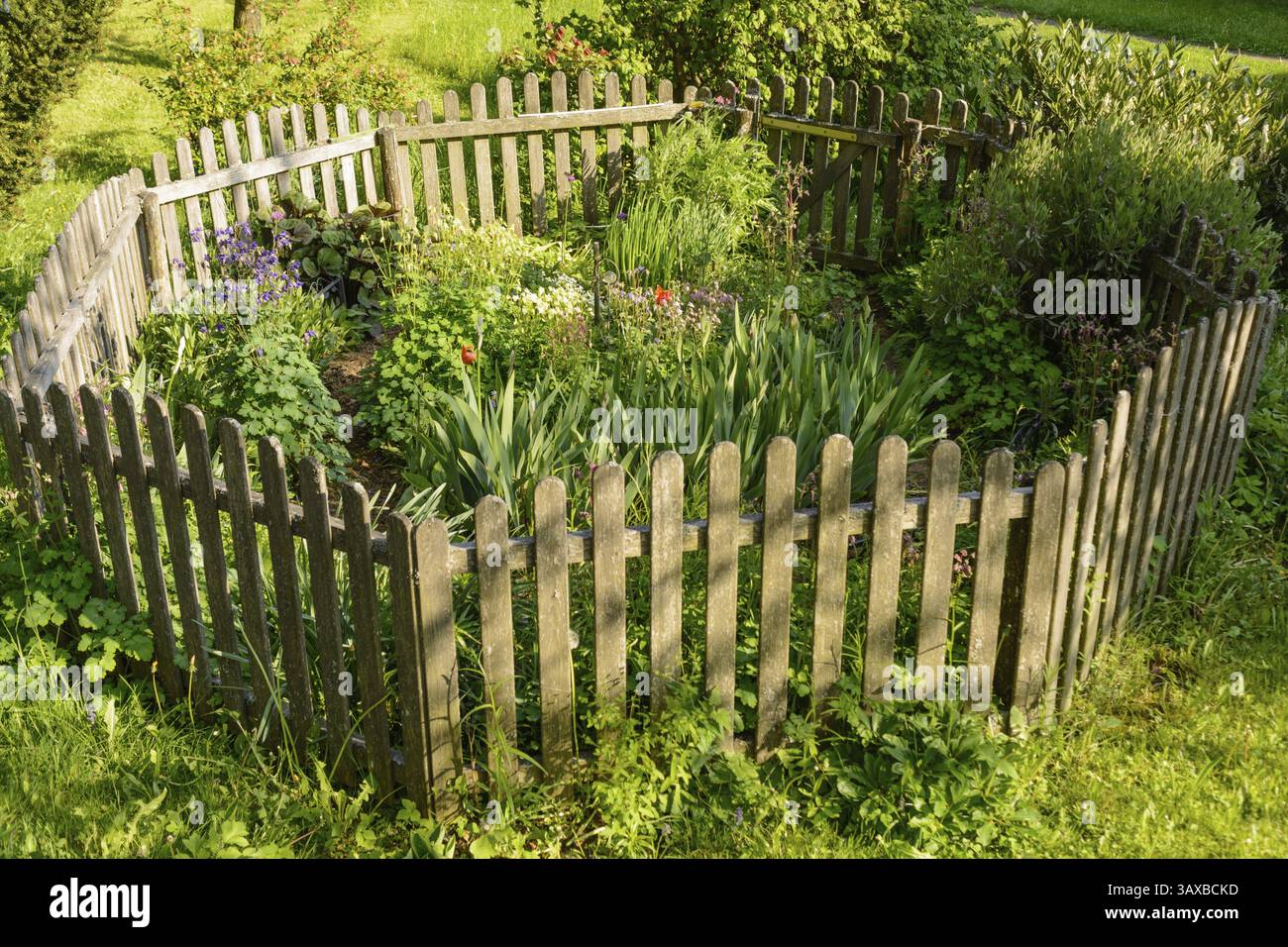 Little octagonal hi-res stock photography and images - Alamy