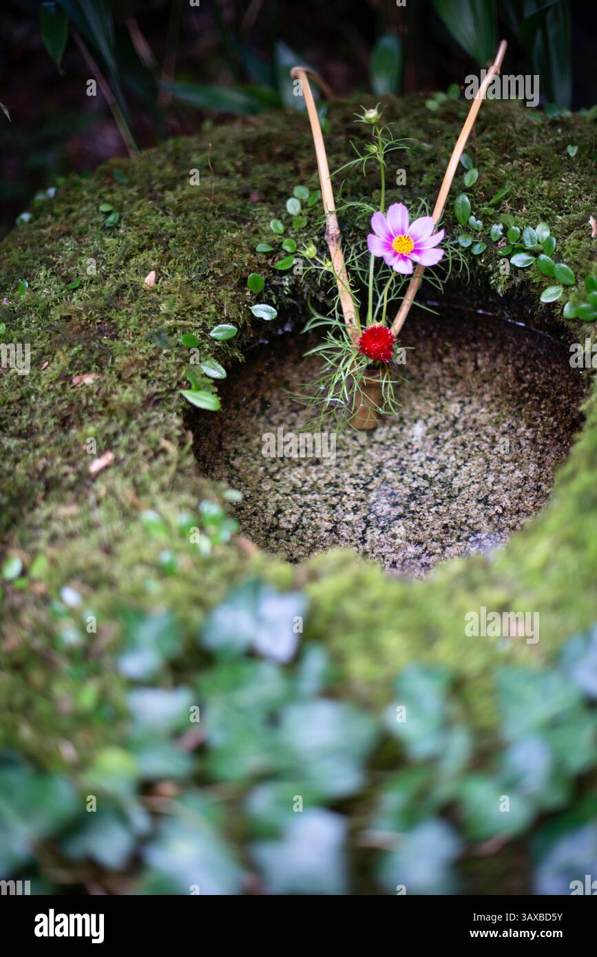 Photo shows moss-covered well in the garden at Garyu Sanso villa in Ozu ...