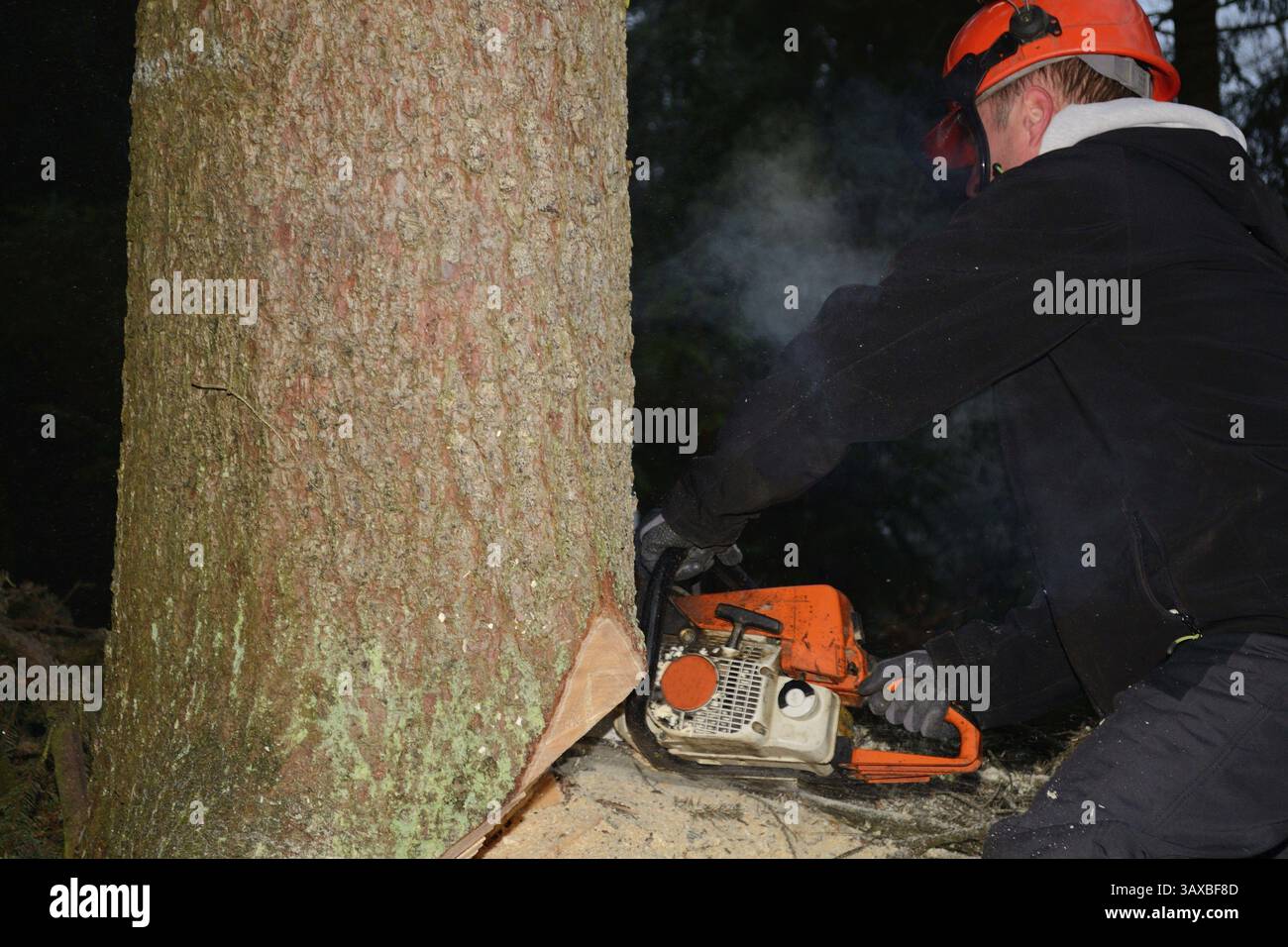 Chainsaw during hi-res stock photography and images - Alamy