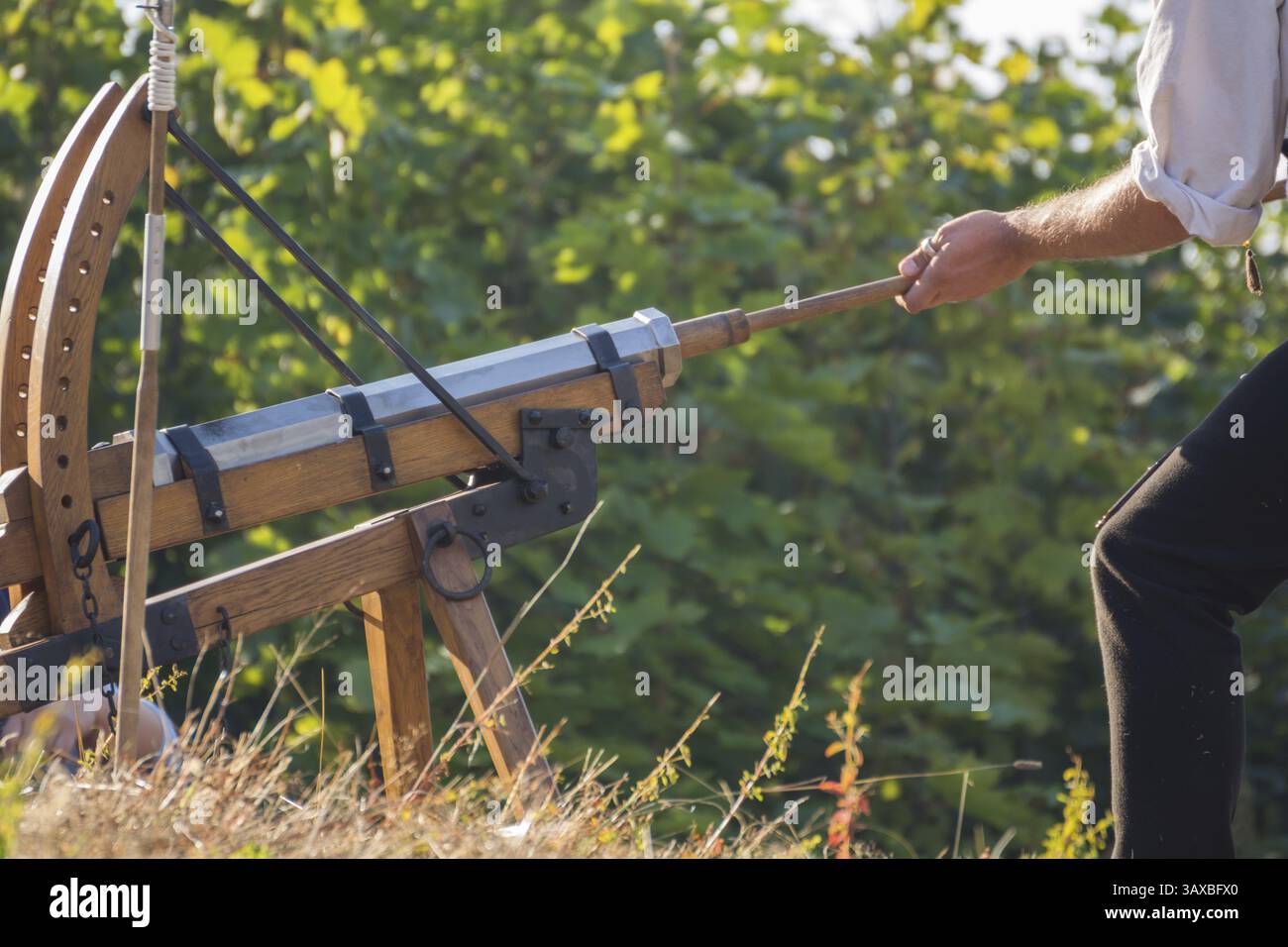 Person loads cannon - historical demonstration, Austria, Europe Stock ...