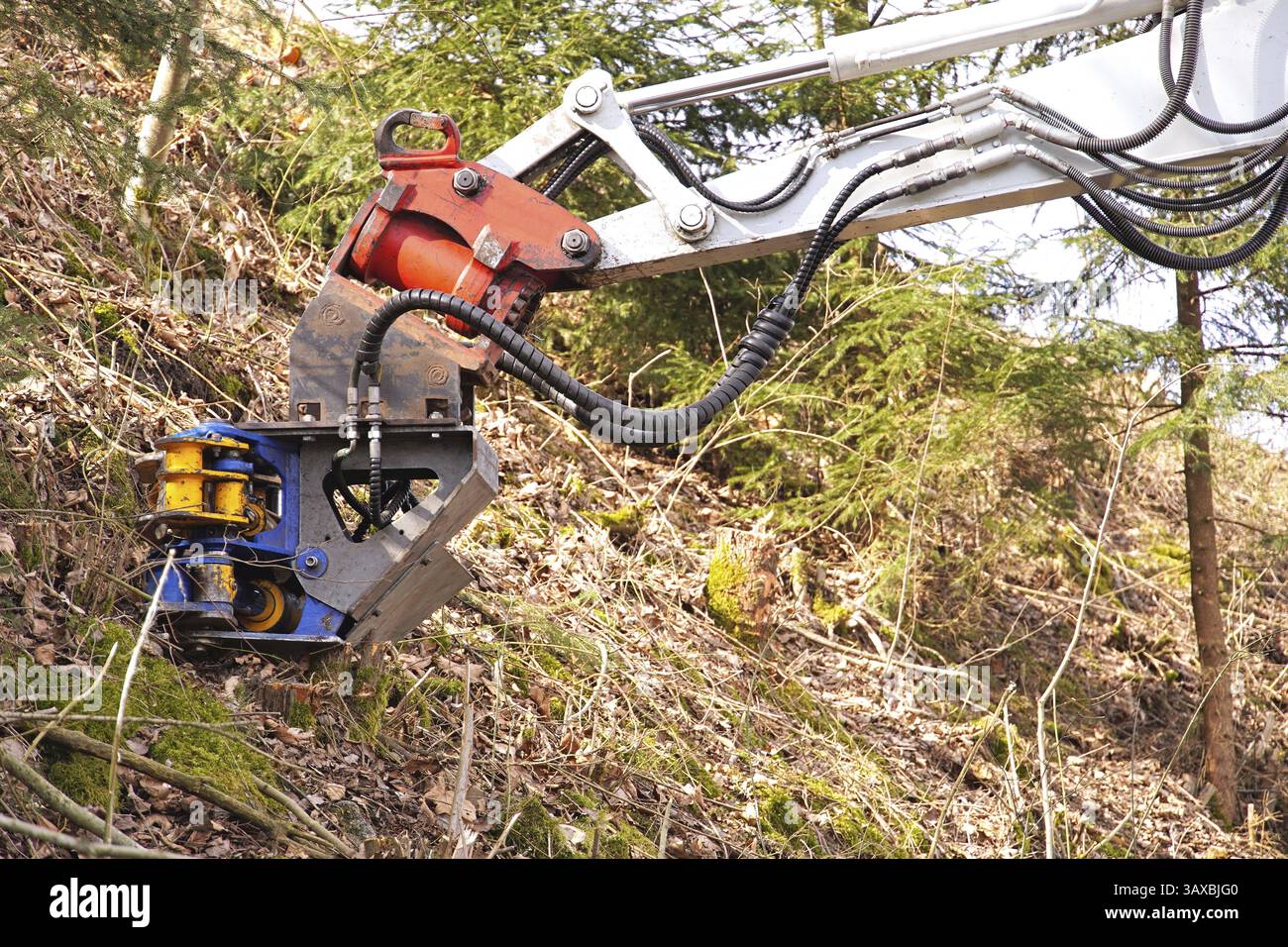 Tree cutter on an excavator tending a forestry slope - close-up Stock ...