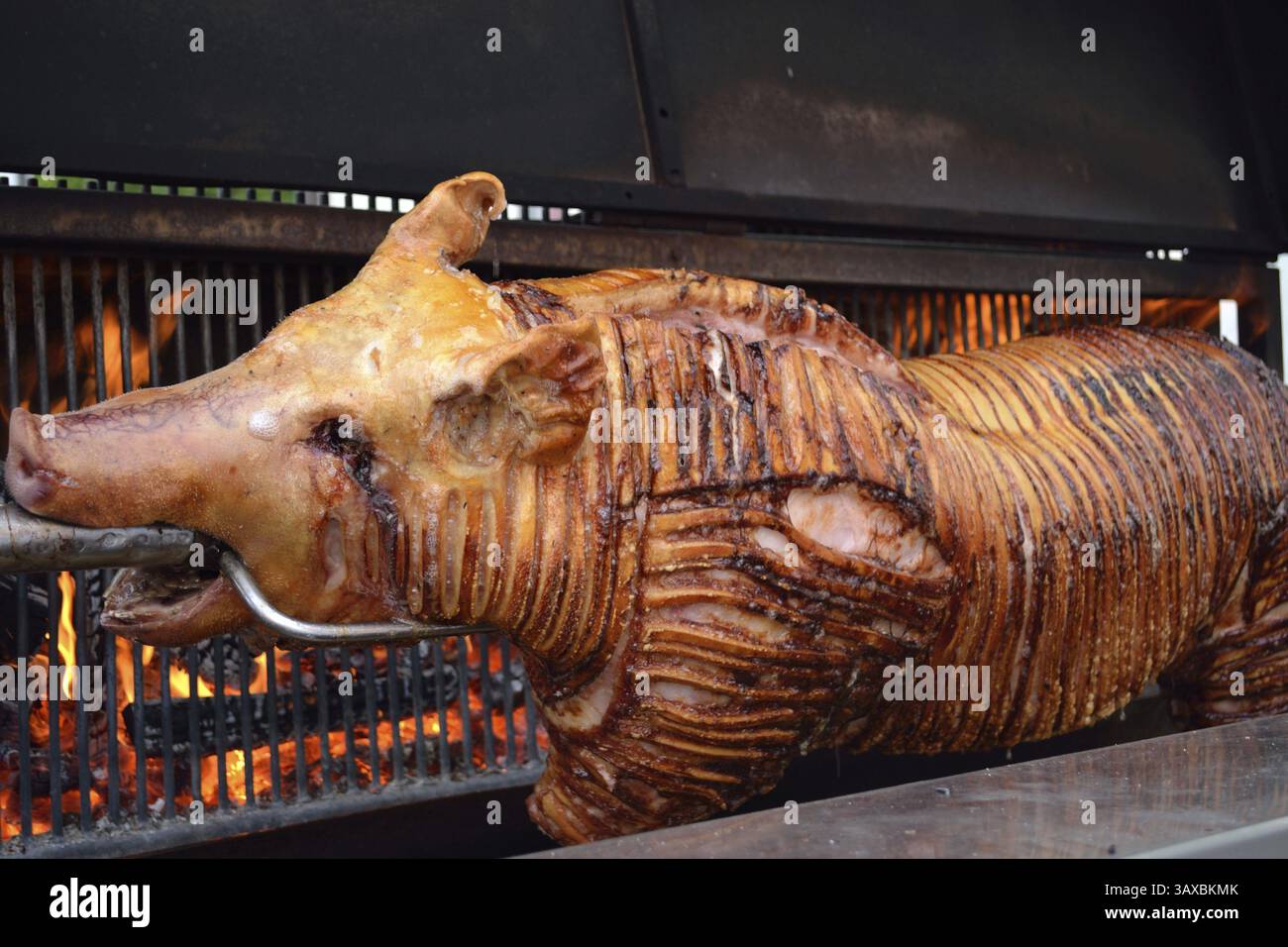Suckling pig on the barbecue Stock Photo - Alamy
