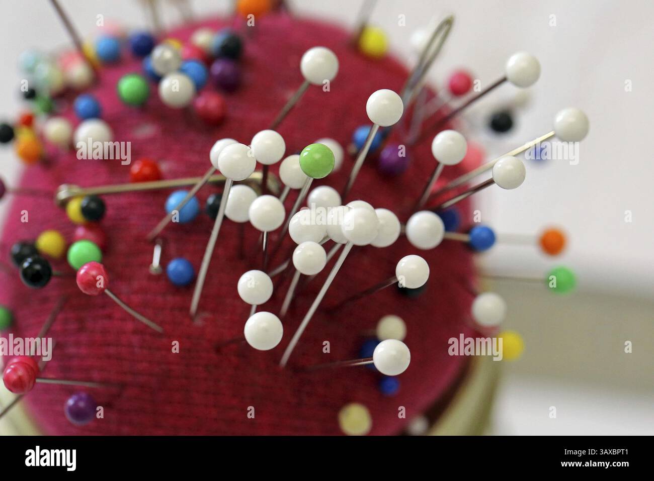 With a diameter of more than 150 mm Stock Photo - Alamy