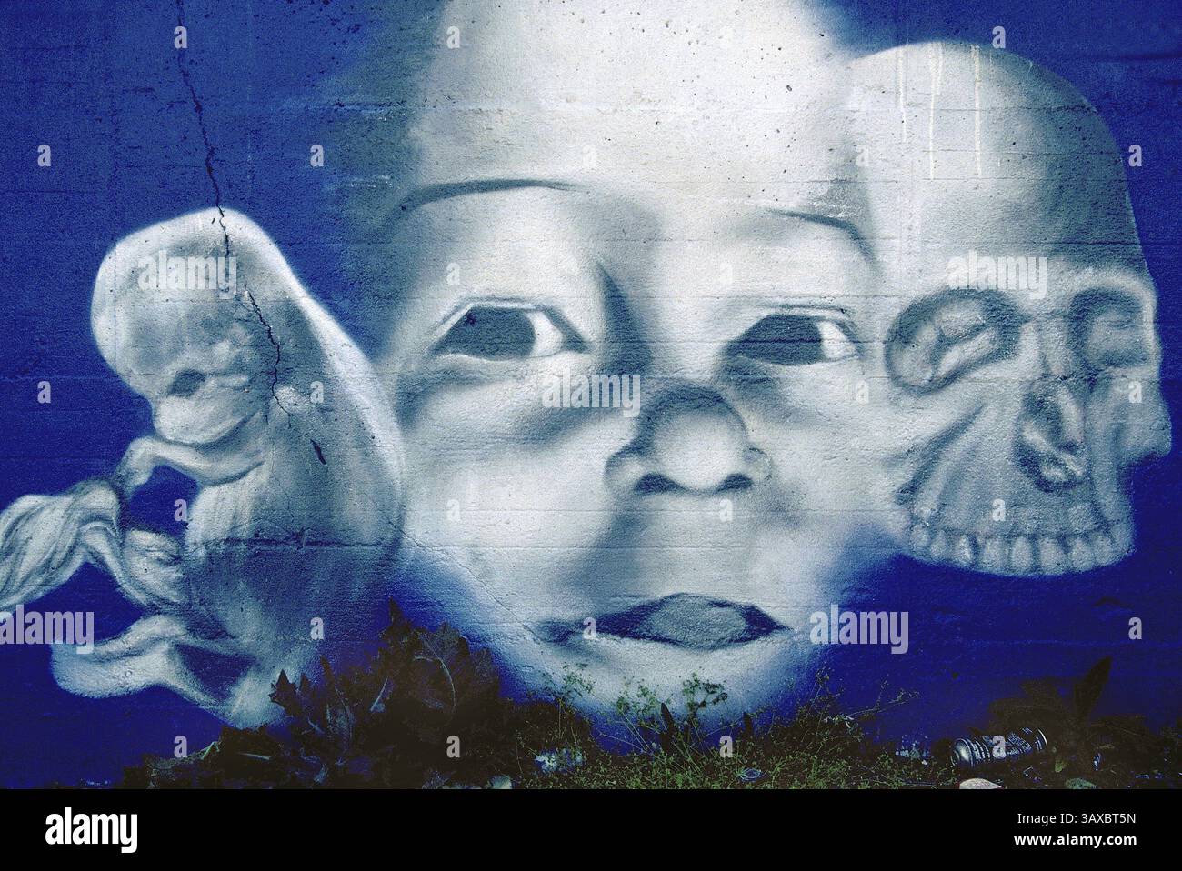 Birth to the death hi-res stock photography and images - Alamy