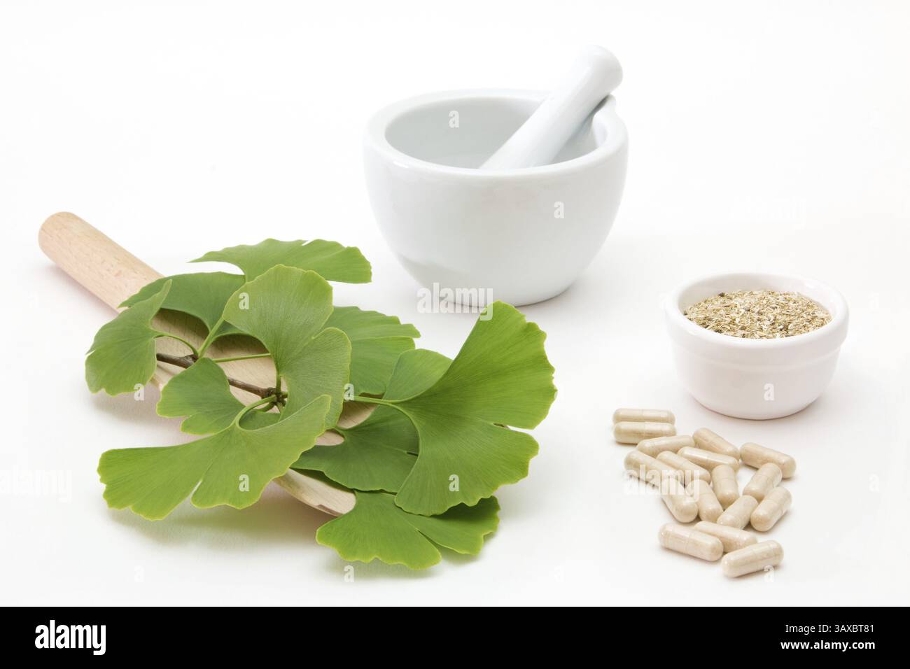 Fresh ginkgo leaves and dried ginkgo herb with mortar and pestle and ...