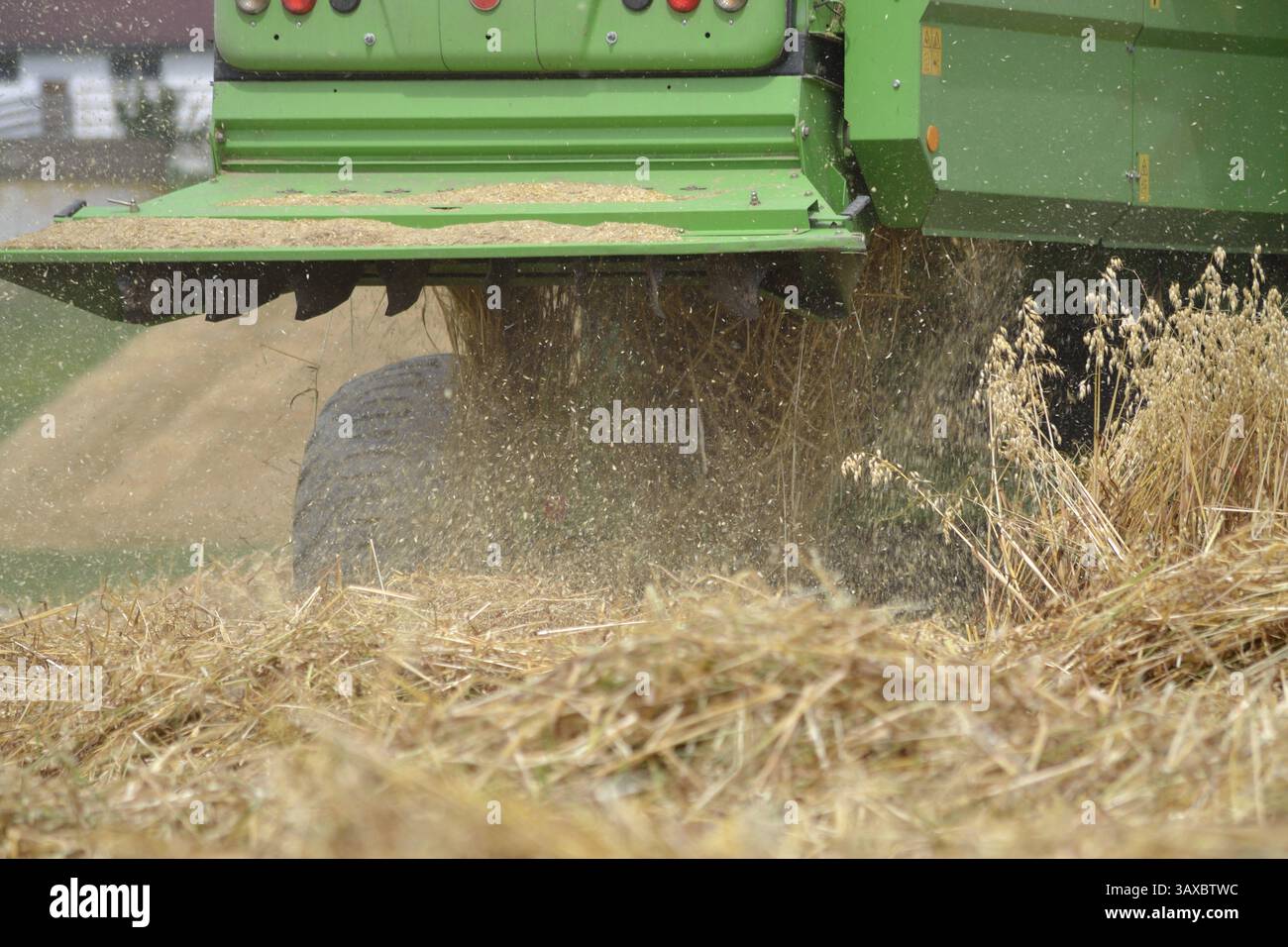 Green combine harvester during the grain harvest Stock Photo - Alamy
