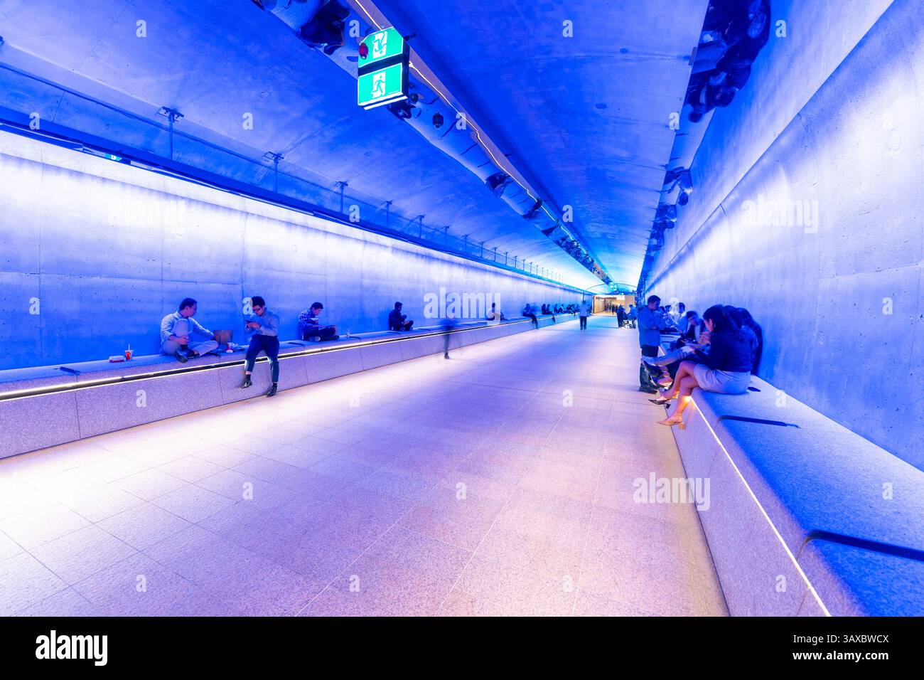 The 'Muru Giligu' Path of Light underground pedestrian tunnel at Martin ...