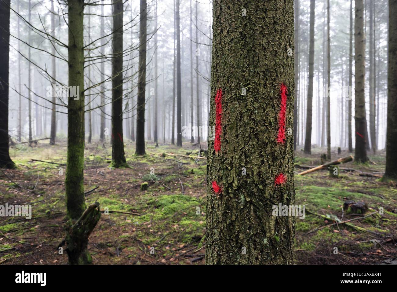 Marking sections hi-res stock photography and images - Alamy