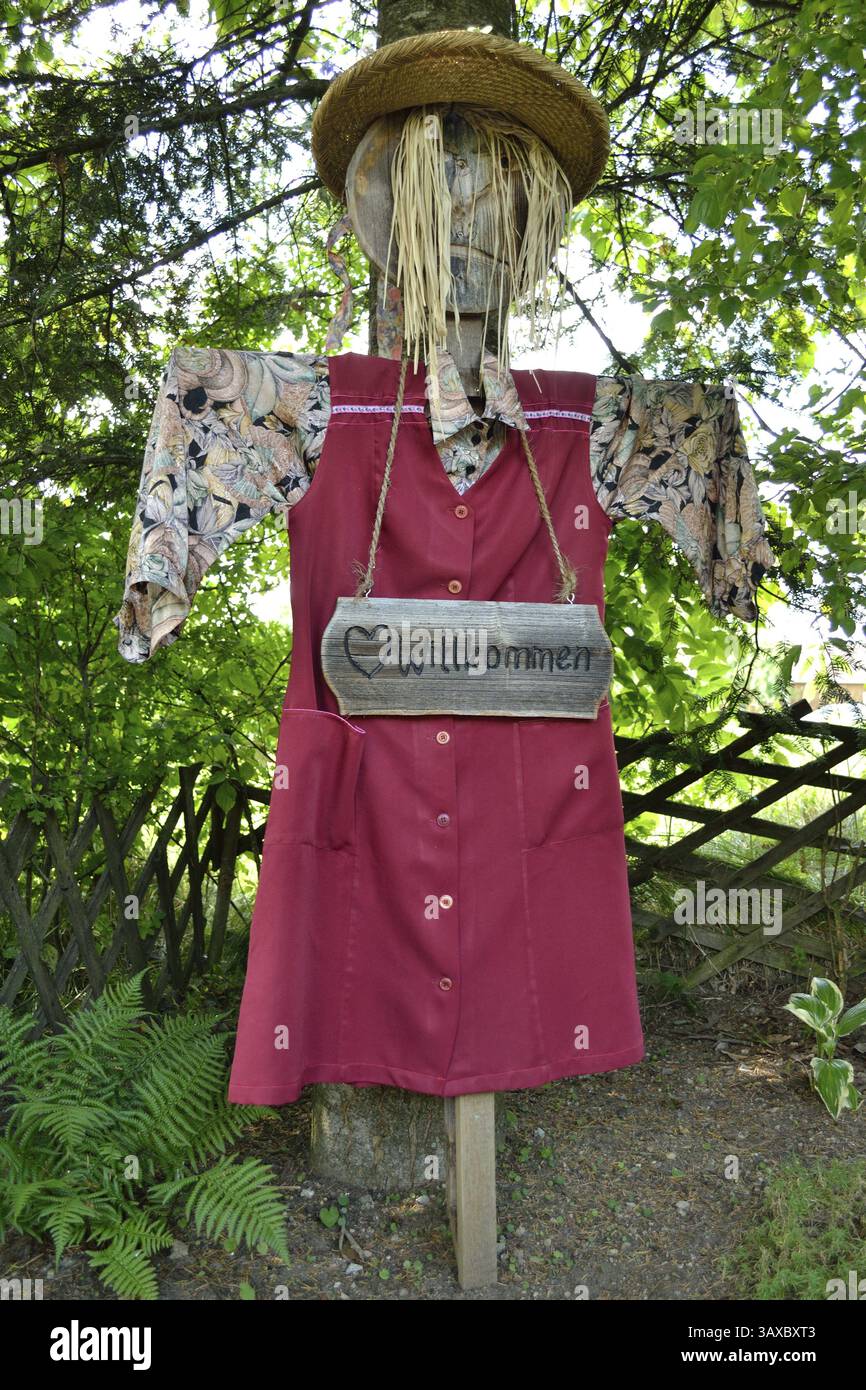 Scarecrow made wood hi-res stock photography and images - Alamy