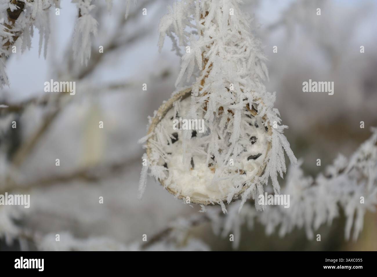 Feeding bell covered in hi-res stock photography and images - Alamy