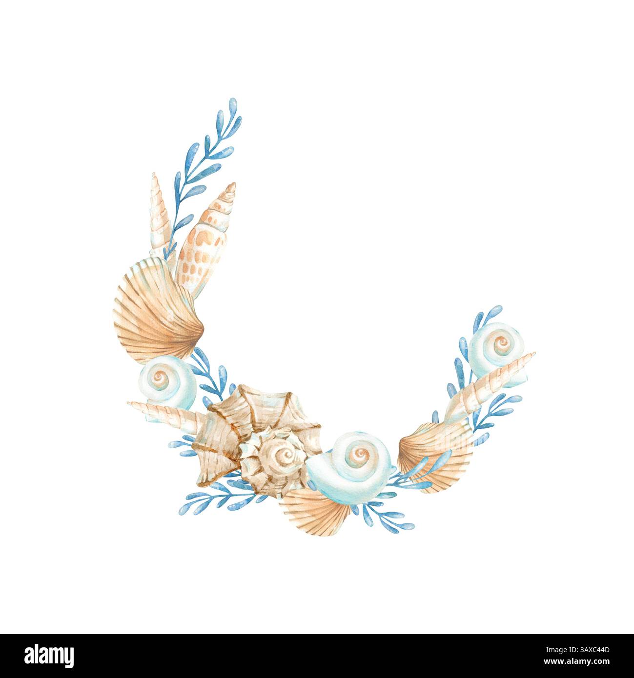 Wreath of shells and seaweed in beige and blue colors. Watercolor hand ...