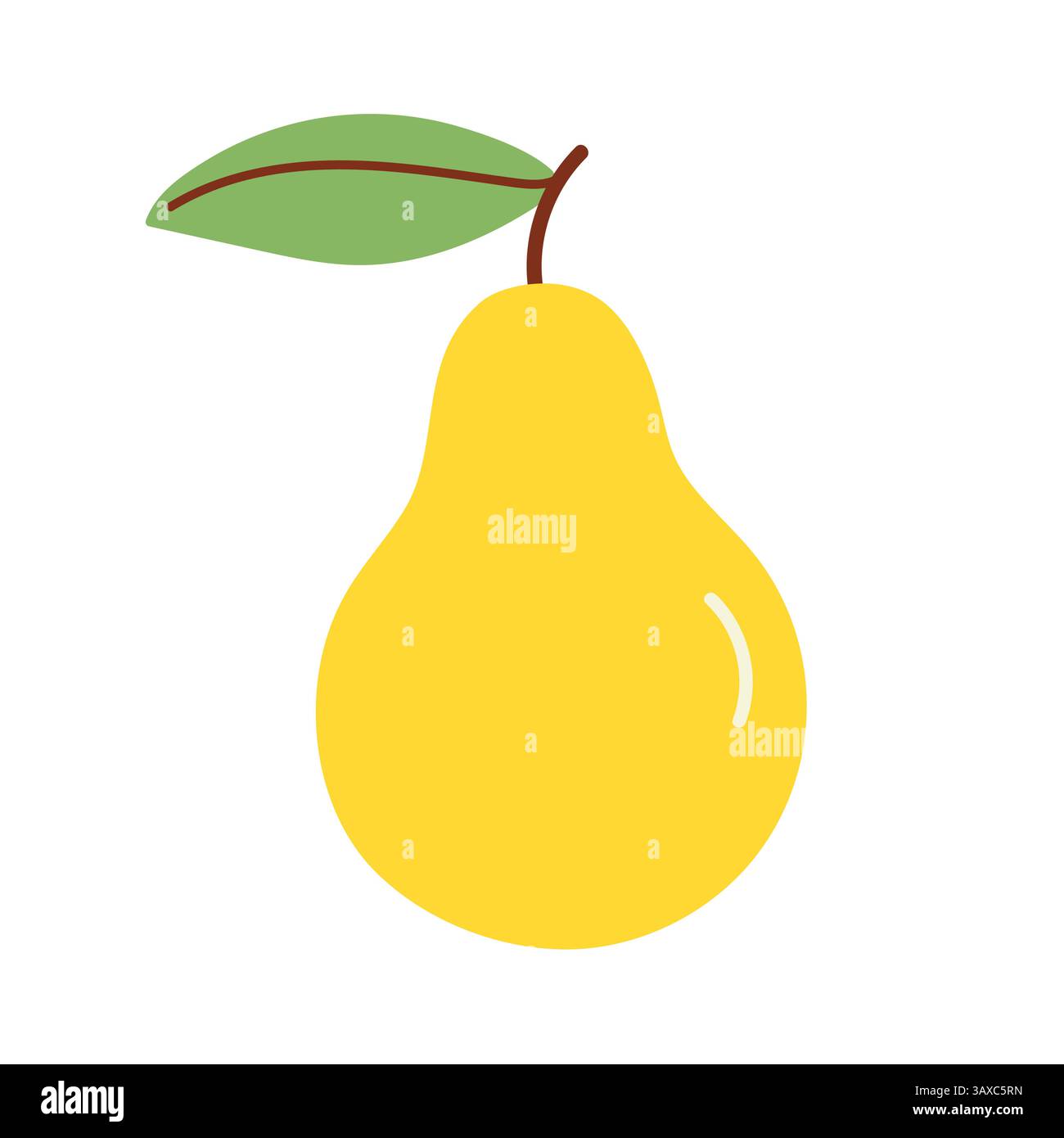 Pear fruit hand drawn vector illustration Stock Vector Image & Art - Alamy