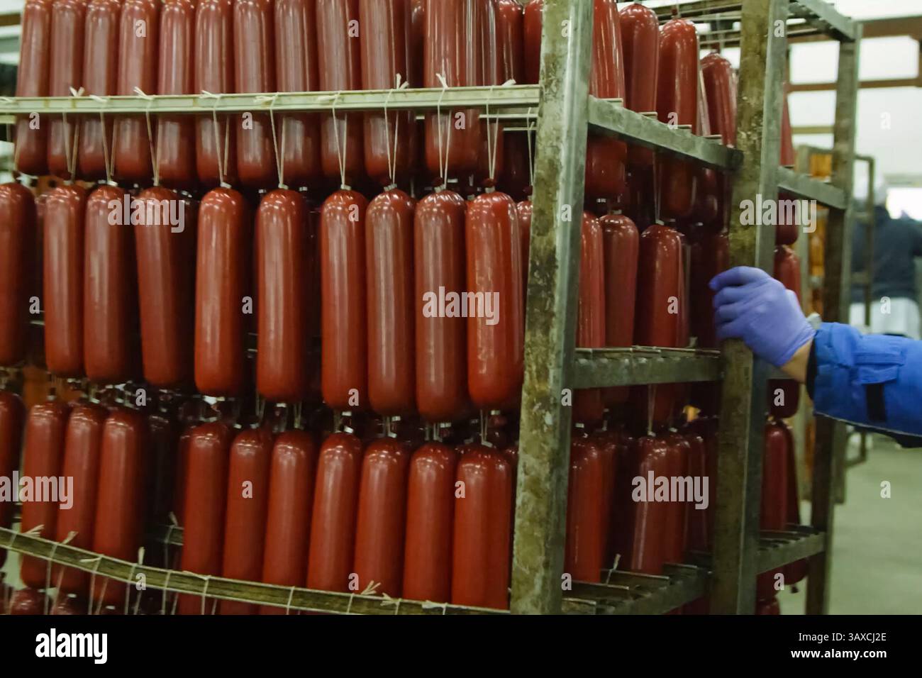 The sausage hangs on a rack in the sausage factory. production of sausages Stock Photo - Alamy