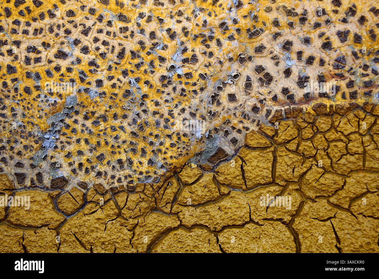 Cracked Earth and mineral rich silt deposits, Huelva province ...