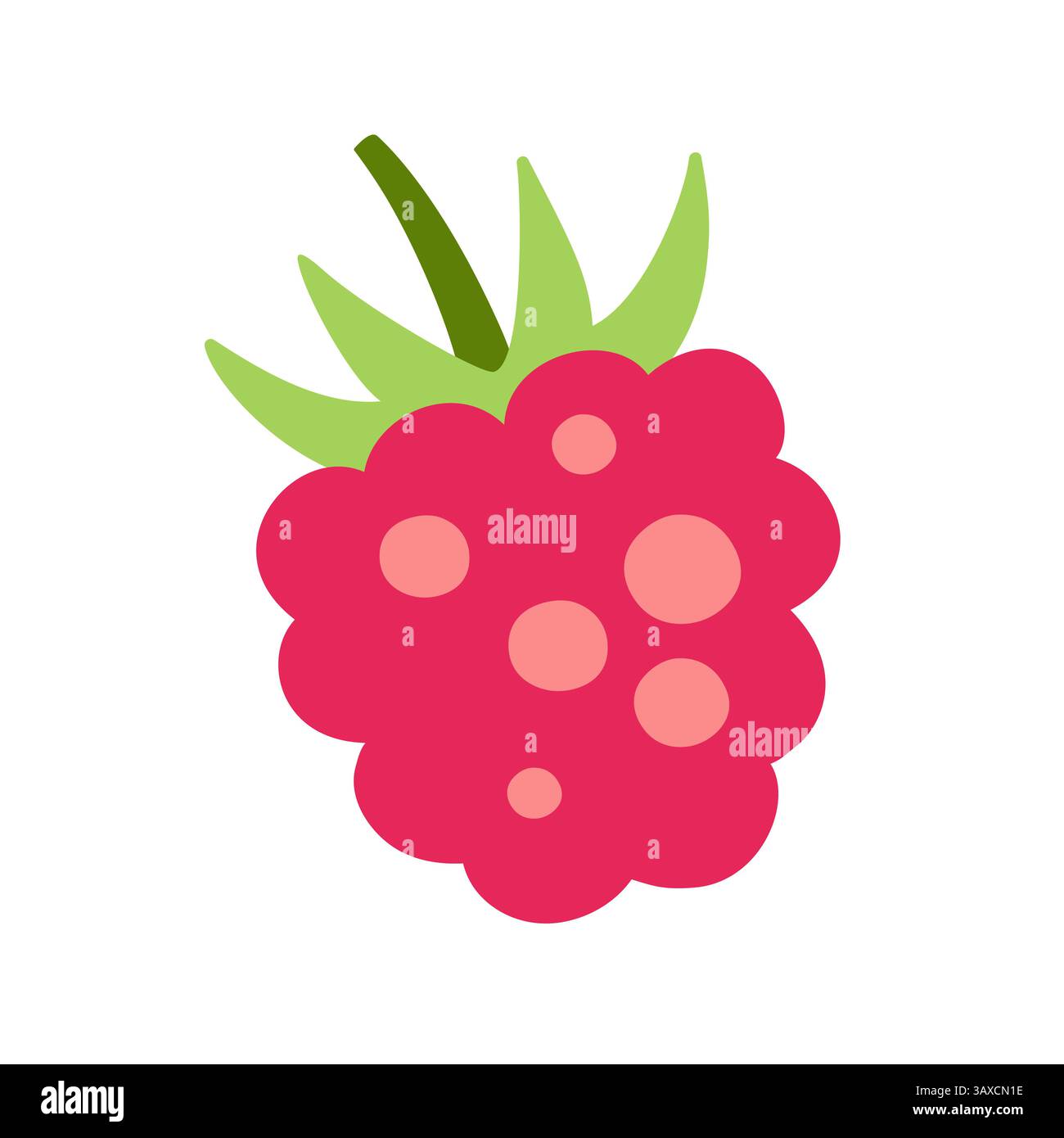 Raspberry berry hand drawn vector illustration Stock Vector Image & Art ...
