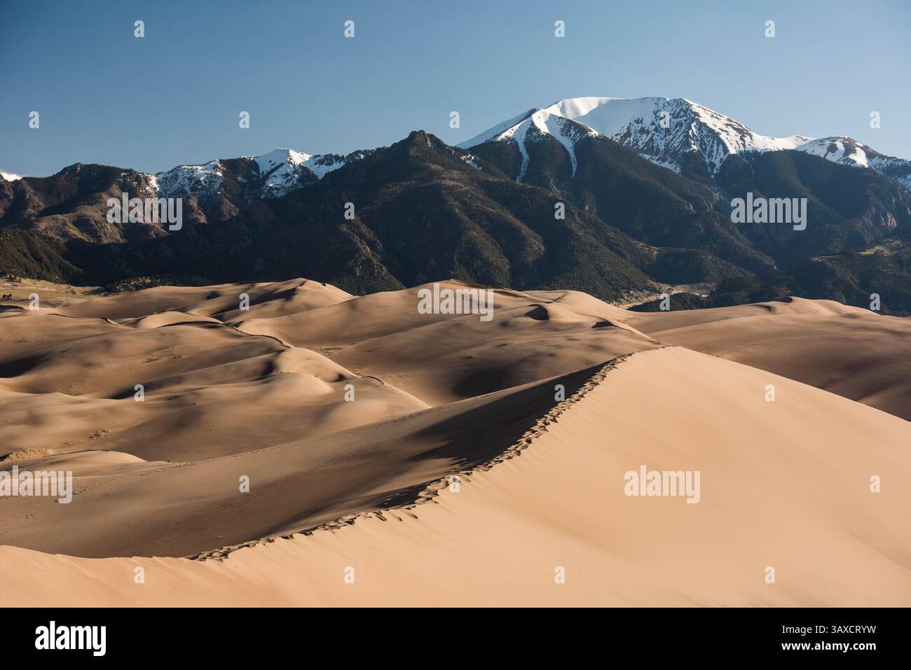 Sand Dune Ridges Stock Photo - Alamy