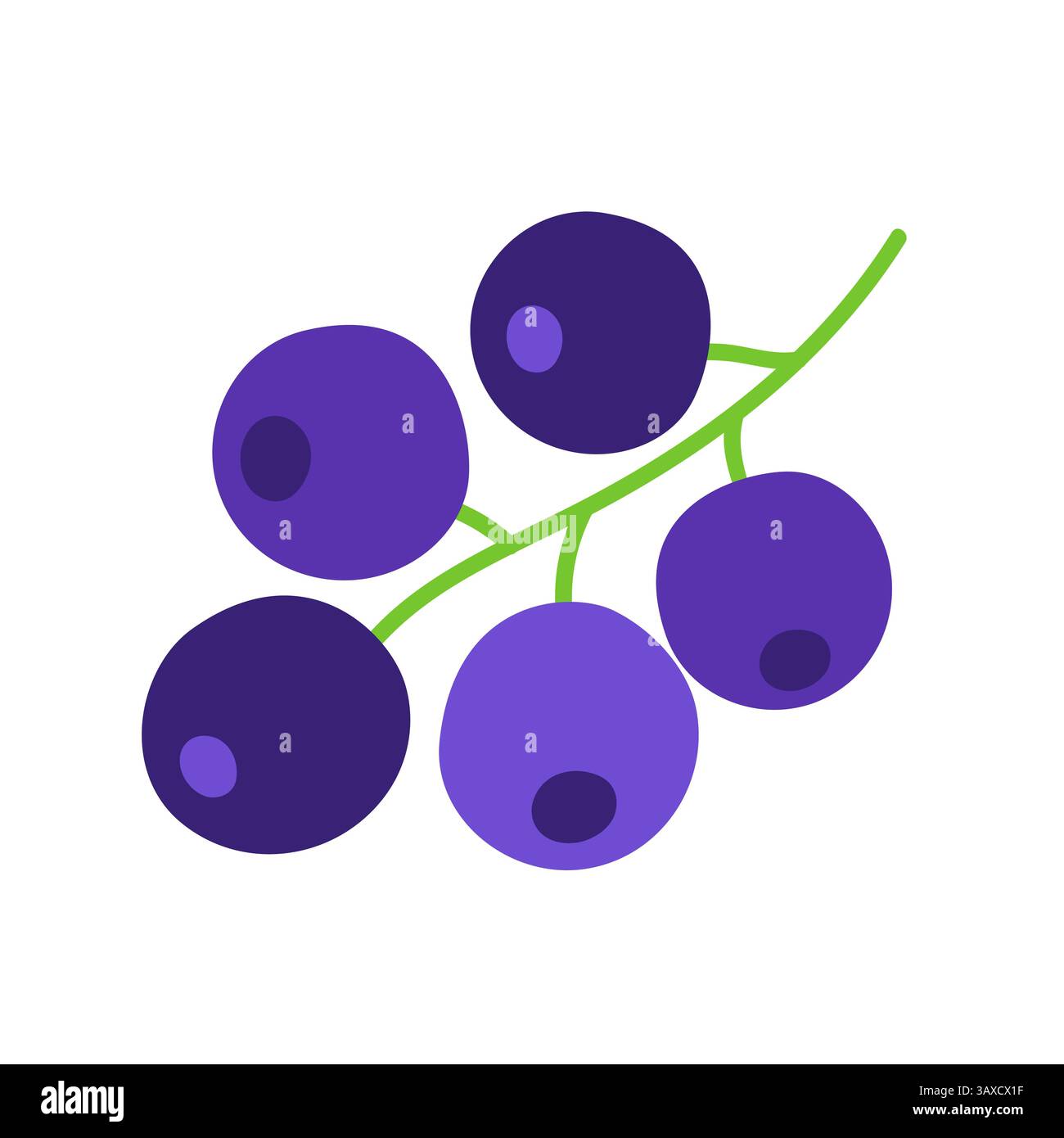 Blueberry berries hand drawn vector illustration Stock Vector Image ...