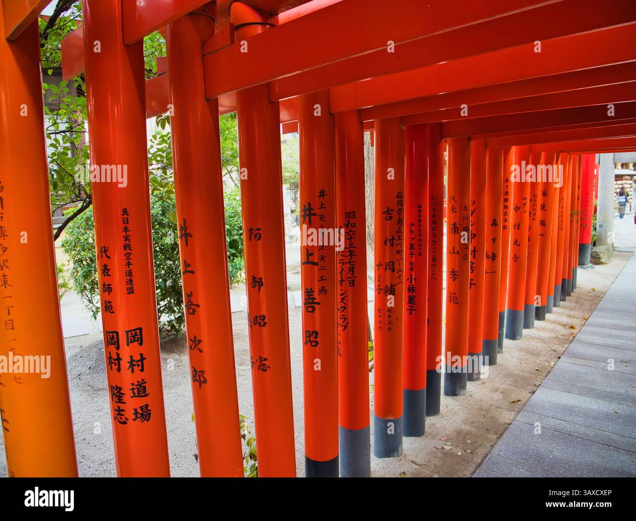 Red torii gates with Japanese inscriptions form a traditional ...