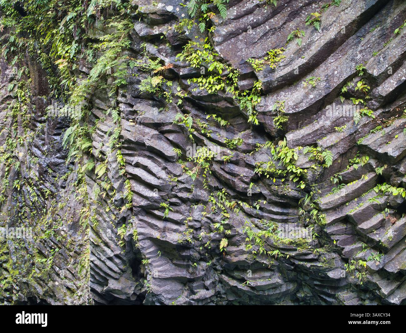 Vertical basalt rock formations in Takachiho Gorge, Kyushu, Japan ...