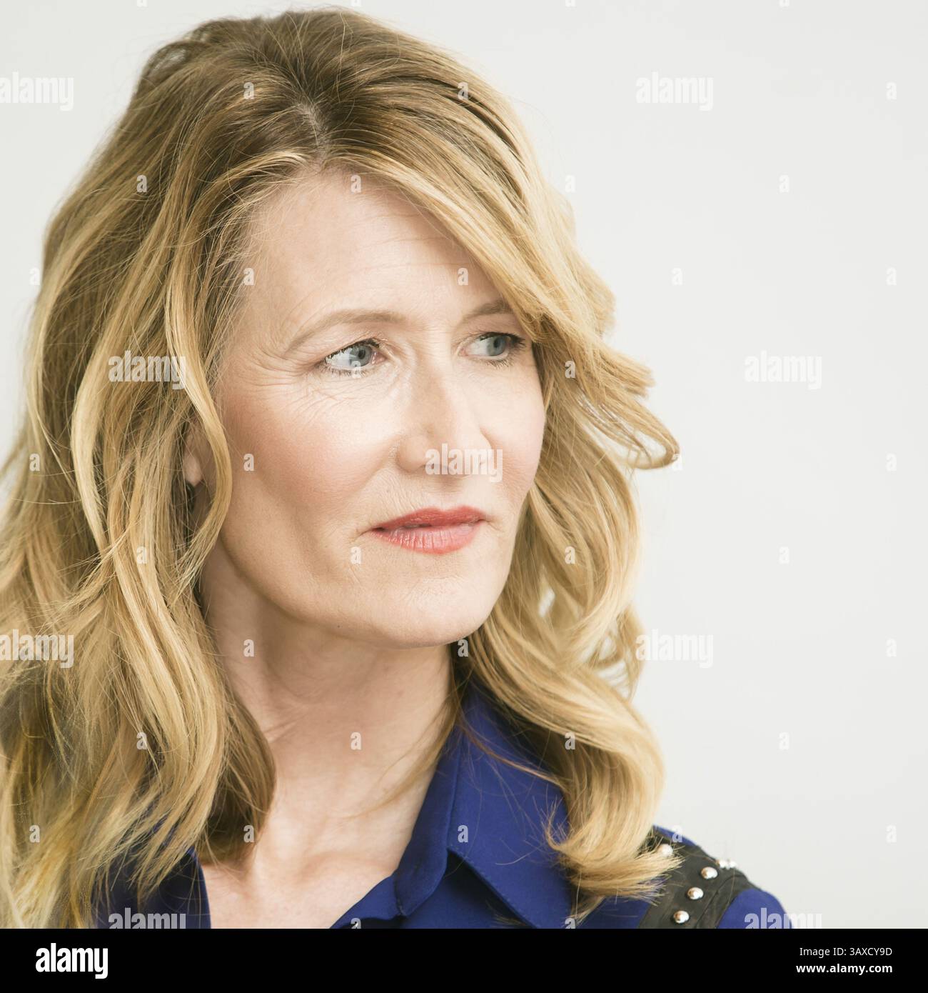 February 7, 2017 - Hollywood, California, U.S. - LAURA DERN promotes TV ...