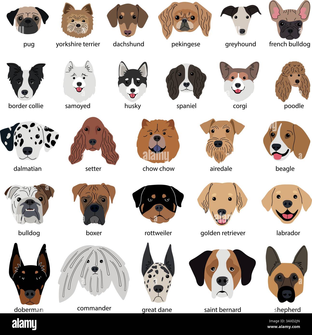 Different dogs heads collection of various breeds on white background ...