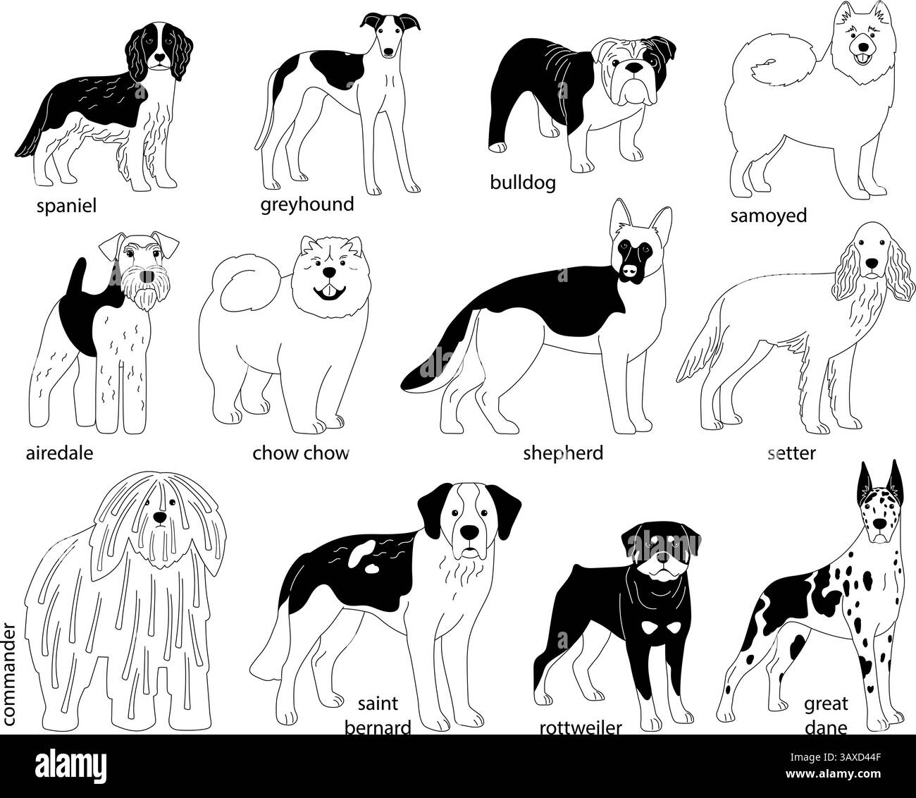 Dogs of different breeds in black and white sketch style original ...