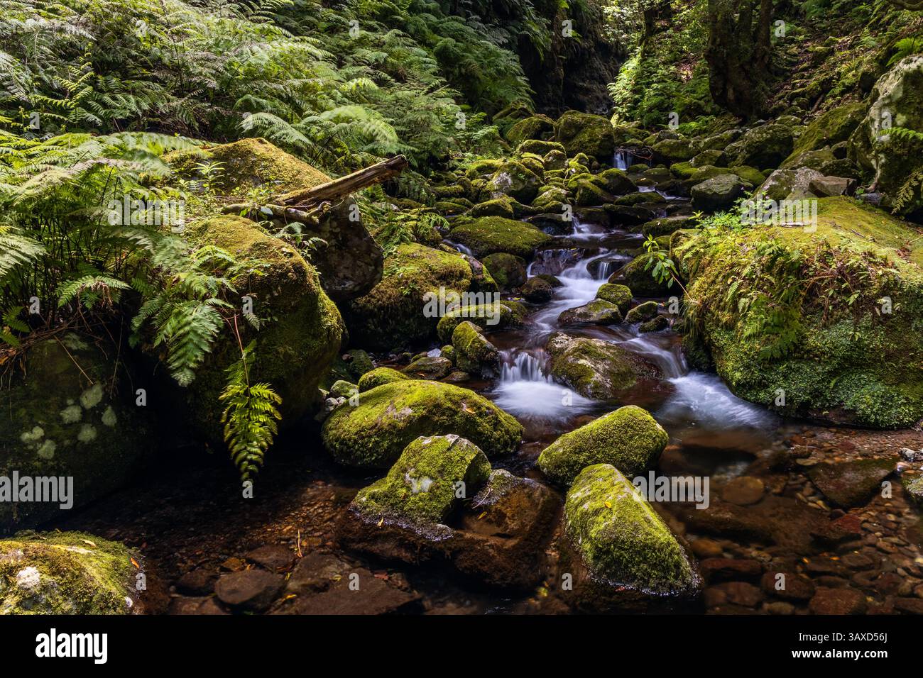 wonderful waterfall in river on a desert island Stock Photo - Alamy