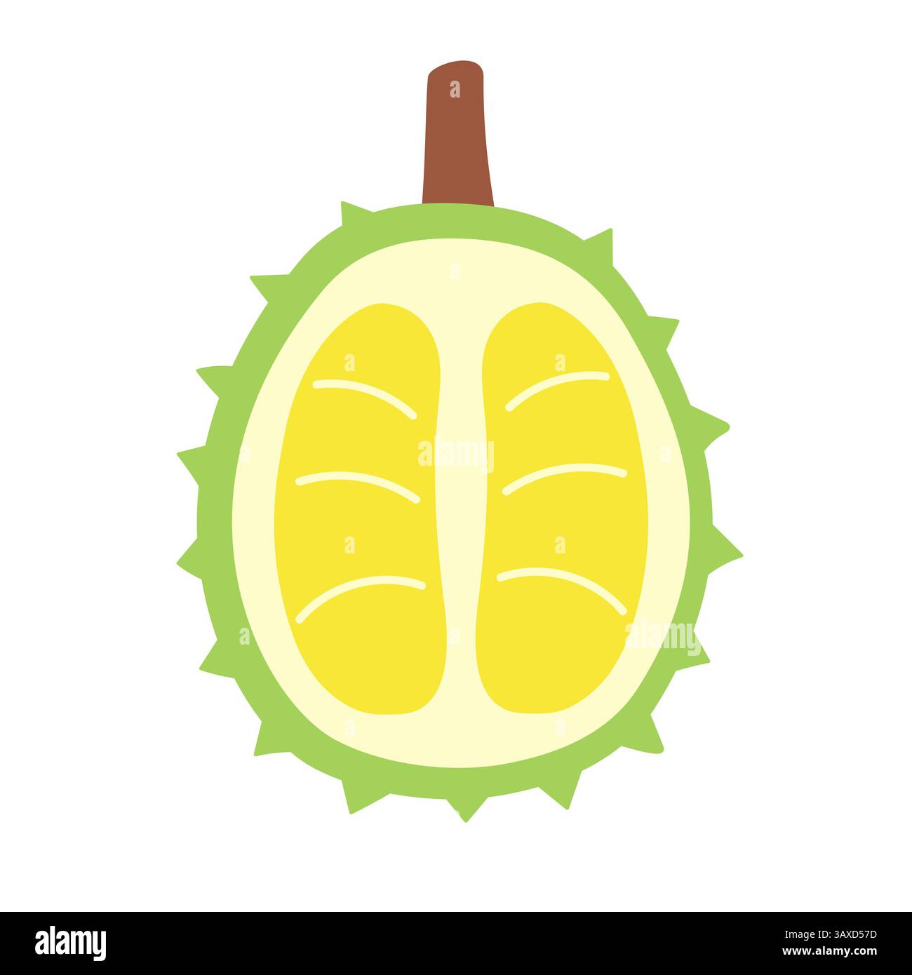 Hand drawn durian fruit hi-res stock photography and images - Alamy