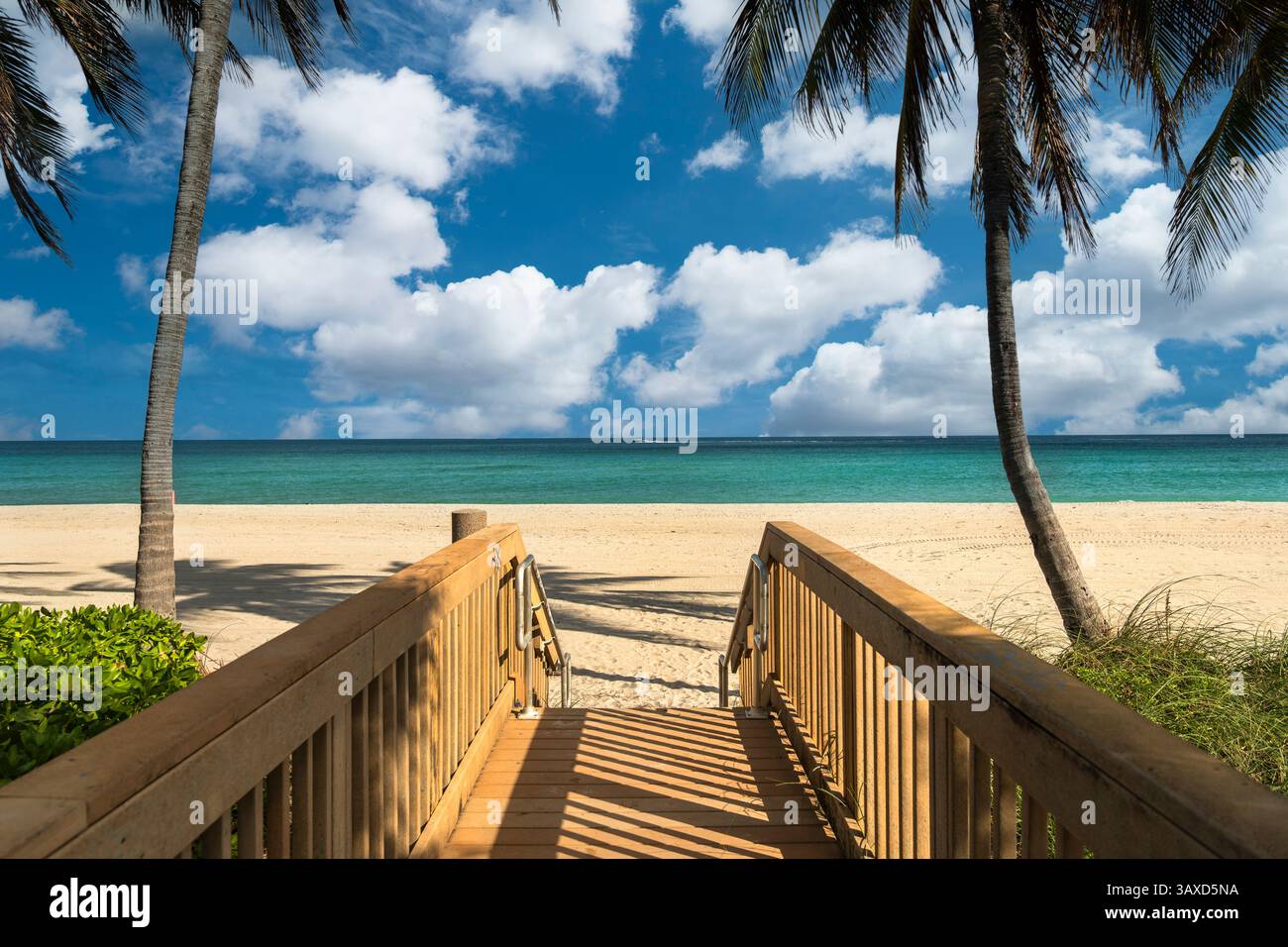 Wooden boardwalk leading to tropical beach with palm trees Stock Photo - Alamy