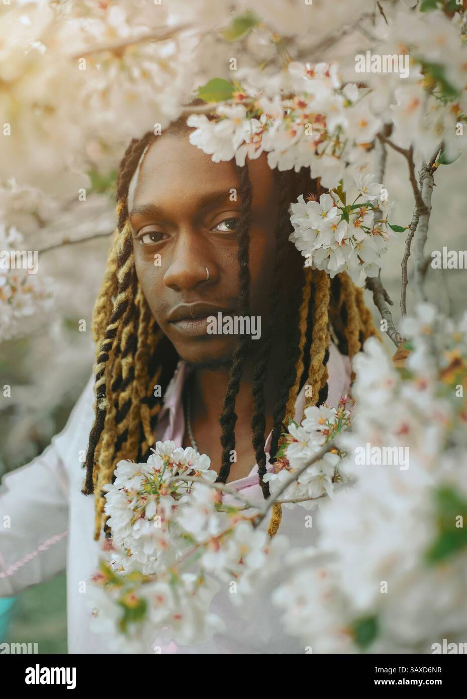 A black man with dreadlocks in a cherry blossom tree Stock Photo - Alamy