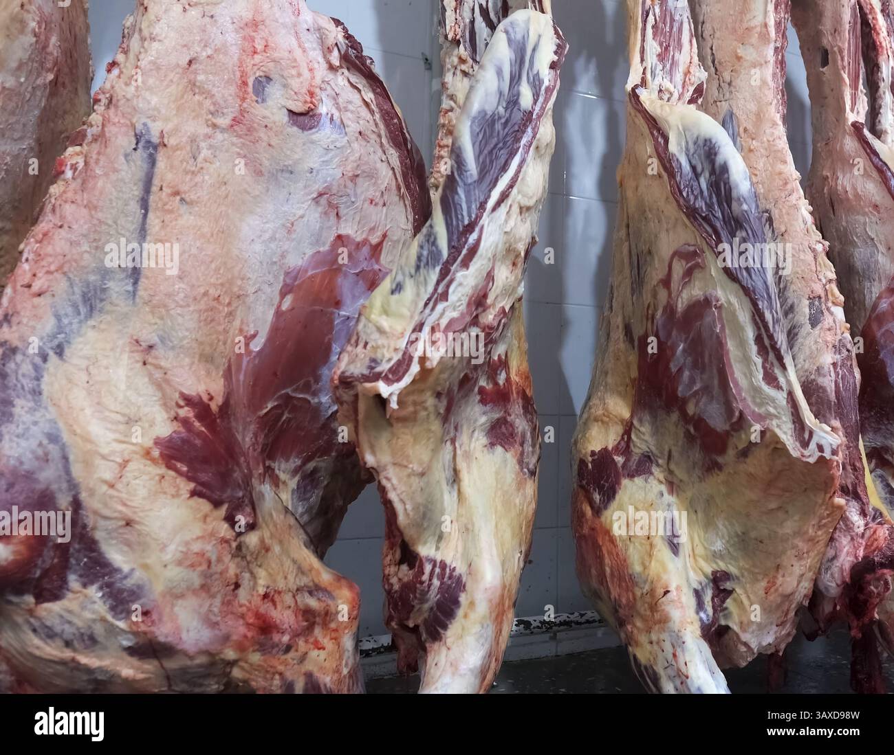 Meat carcasses hang in a meat processing plant Stock Photo - Alamy