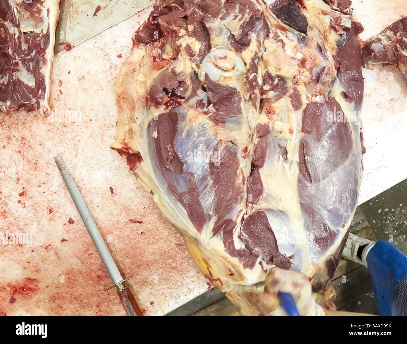 Beef and pork carcass cutting shop. Meat department. meat processing ...